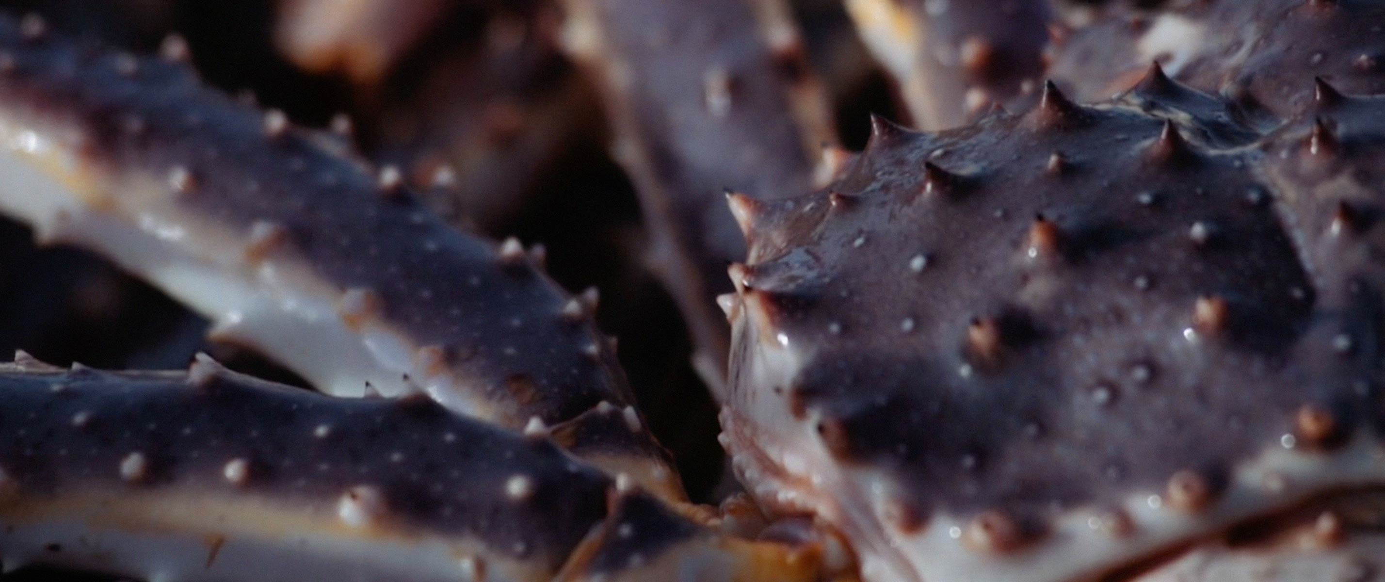 Klaw Restaurant | Restaurant & Rooftop Bar In Miami | The Hunt for the ...