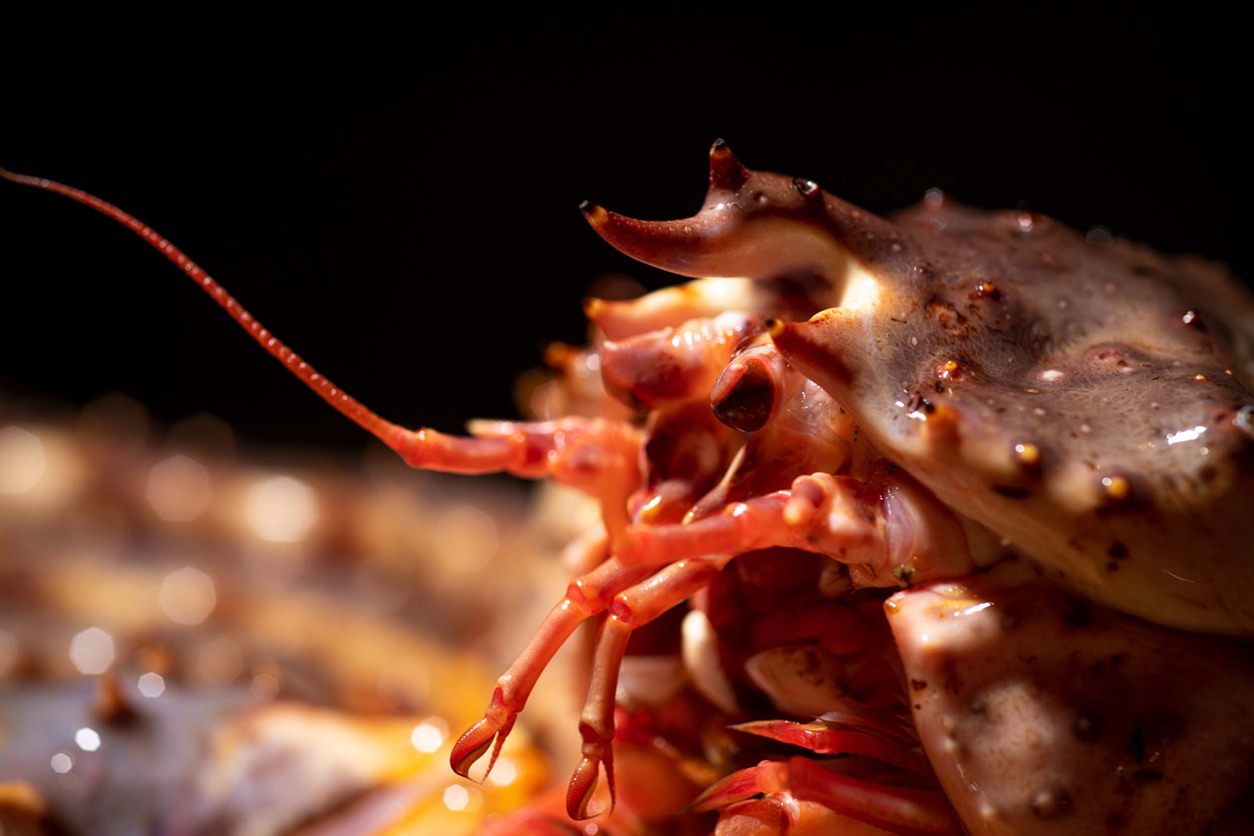 Contact Us | Klaw Restaurant | Restaurant & Rooftop Bar In Miami | The ...