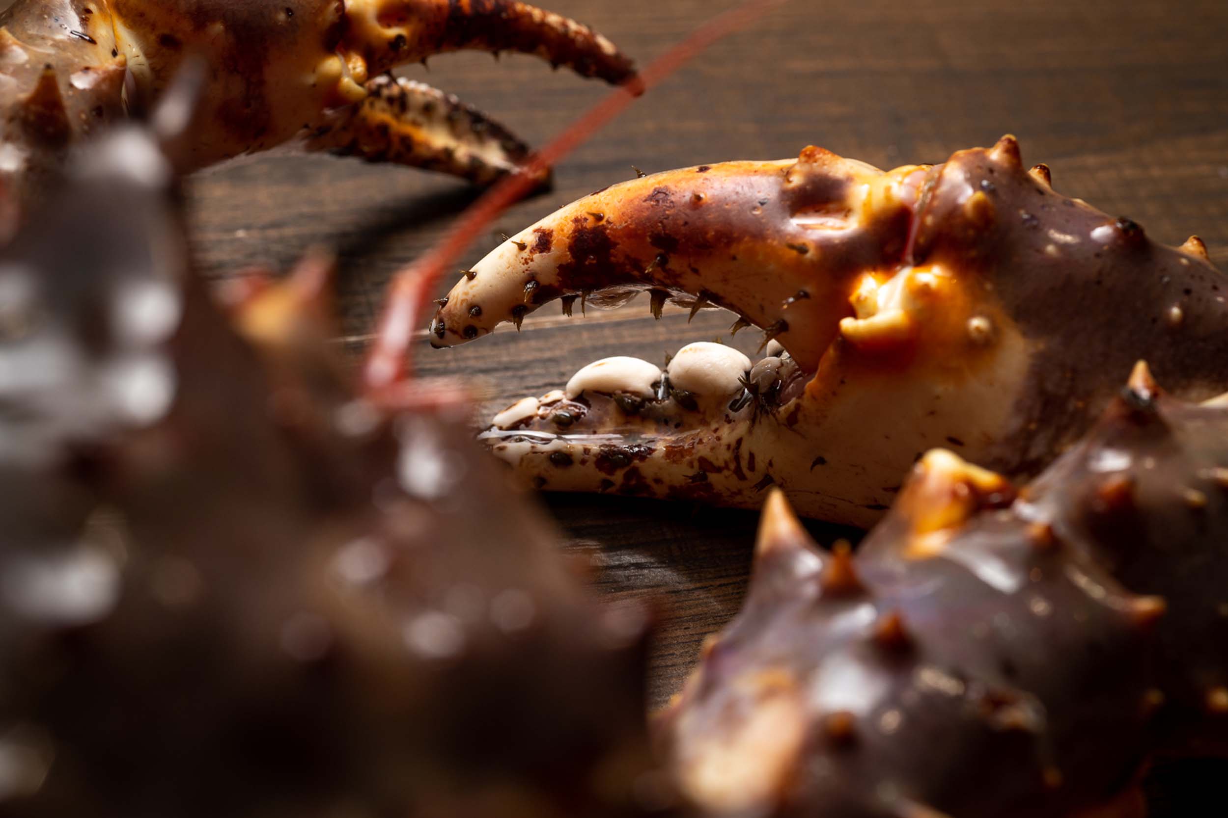 The Experience | Klaw | Restaurant & Rooftop Bar In Miami | The Hunt ...